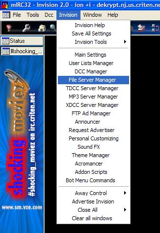 How to set up a fileserver on Invision